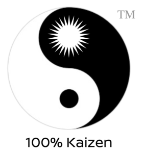 What are the 4 main Kaizen principles - KaizenWebsites.com